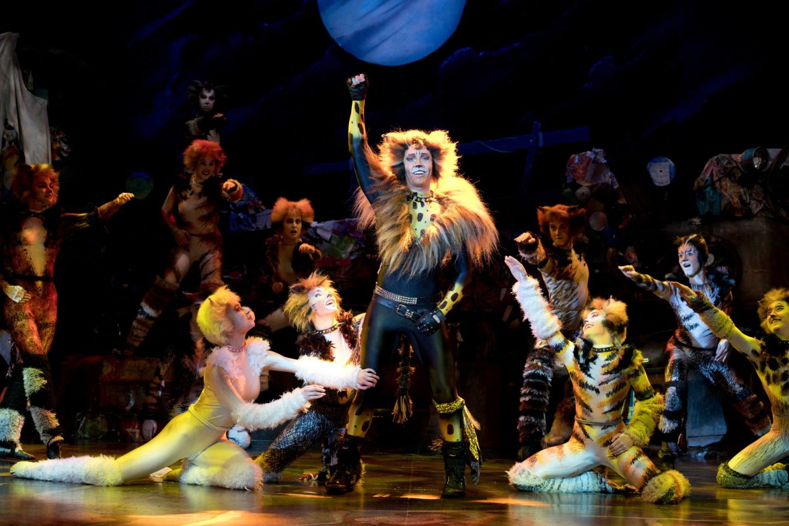 Cats - Der Klassiker aus dem West End 2025 zurück in Berlin ...
