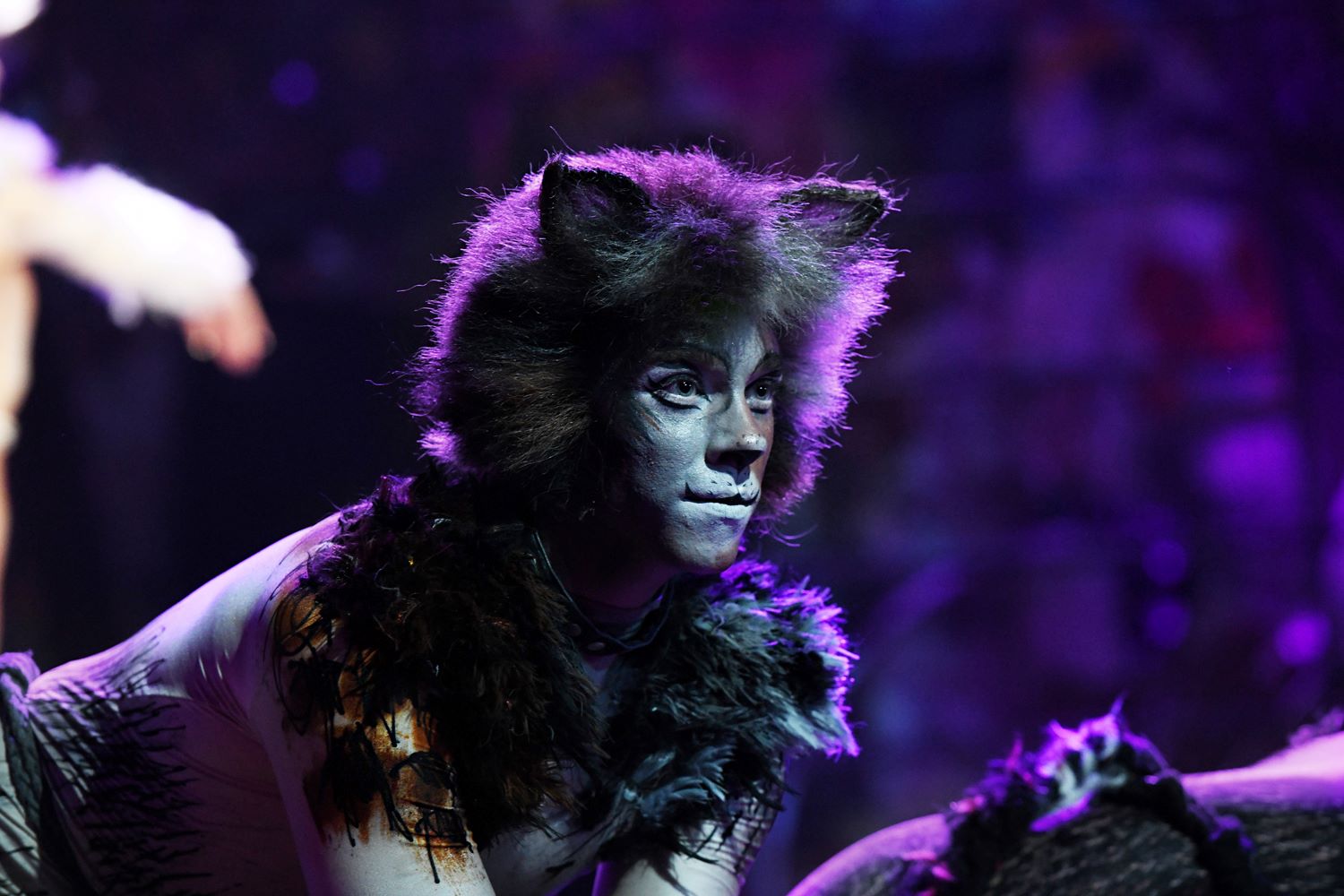 Cats - Der Klassiker aus dem West End 2025 zurück in Berlin ...
